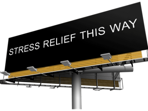 Stress Free Path To A Great Website From Team 218 Web Design